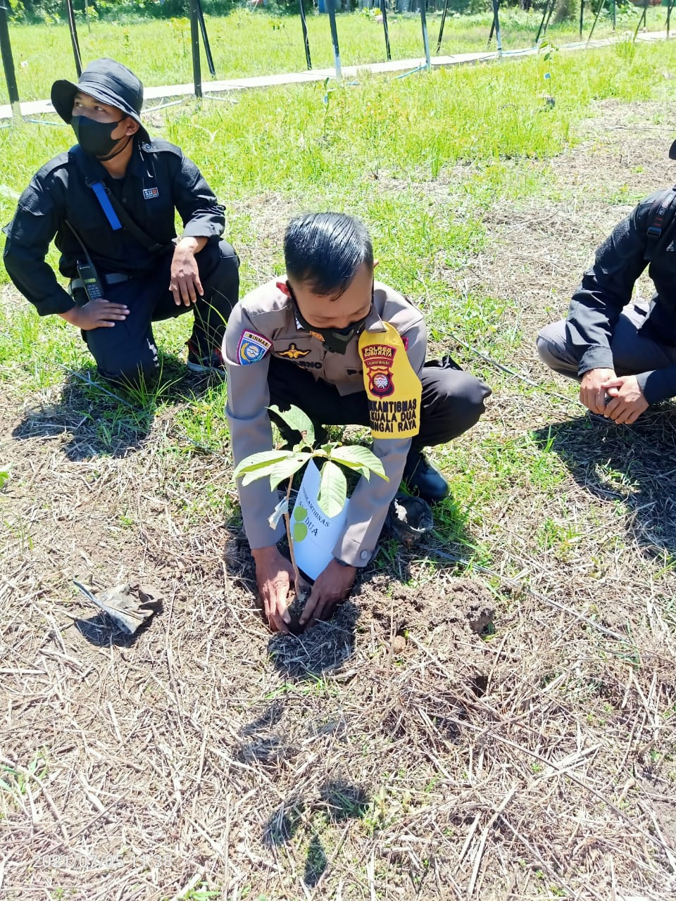 BHABINKAMTIBMAS HADIRI GIAT PENGHIJAUAN HUTAN ALBASIA DUSUN KARYA 1 ...